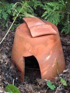 DIY Toad Abode - Houston Arboretum & Nature Center