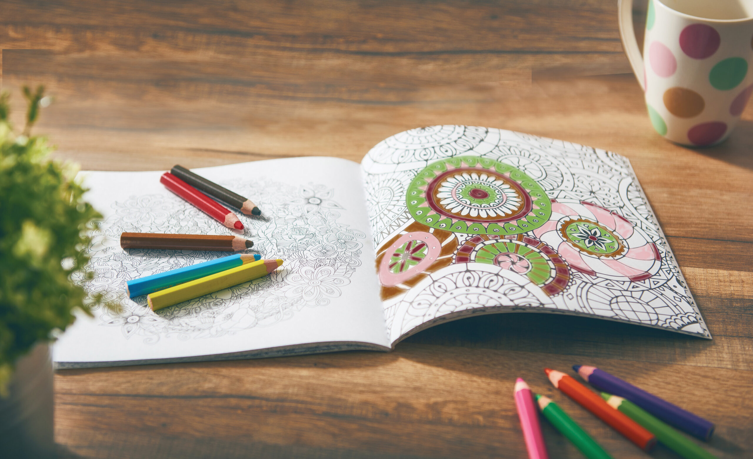 ColoringBook - Houston Arboretum & Nature Center