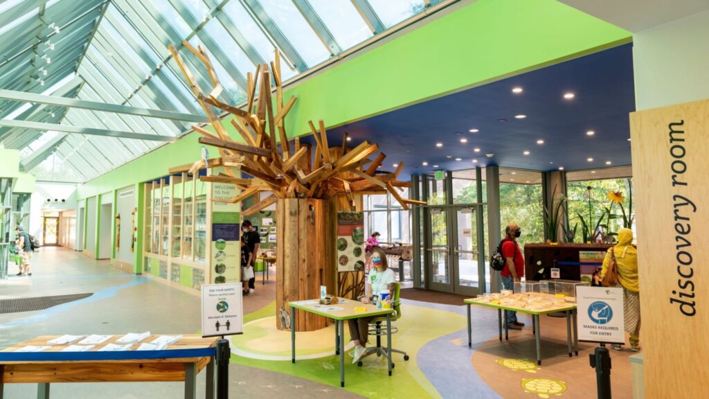 Discovery Room - Houston Arboretum & Nature Center