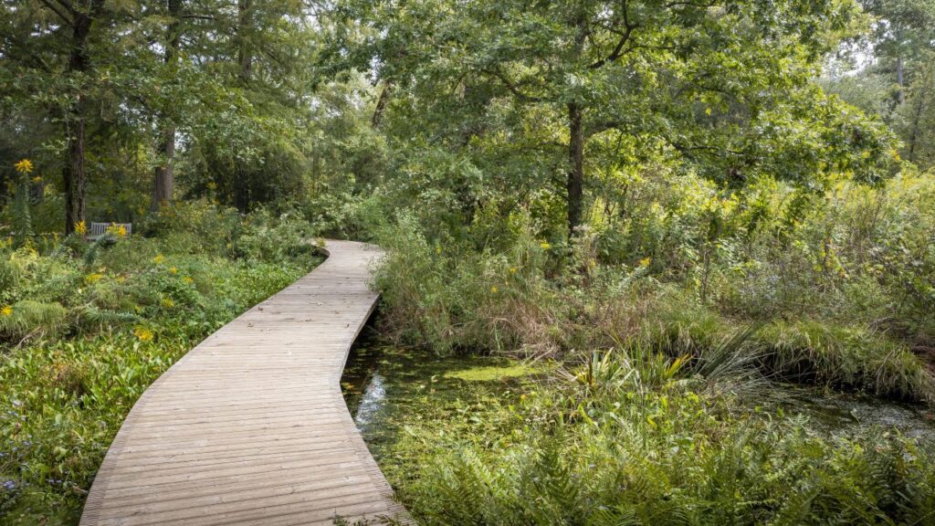 Discover - Houston Arboretum & Nature Center