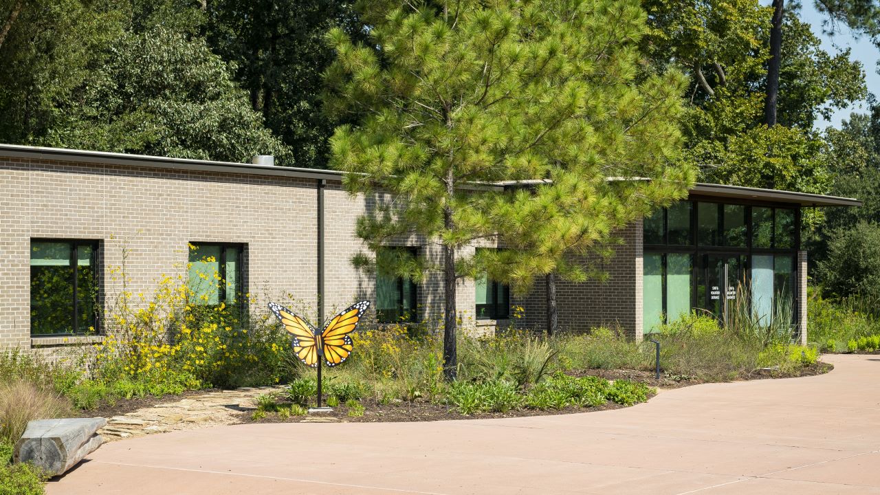 Discover - Houston Arboretum & Nature Center