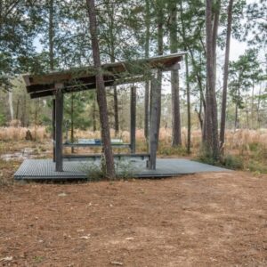 Field Stations - Houston Arboretum & Nature Center