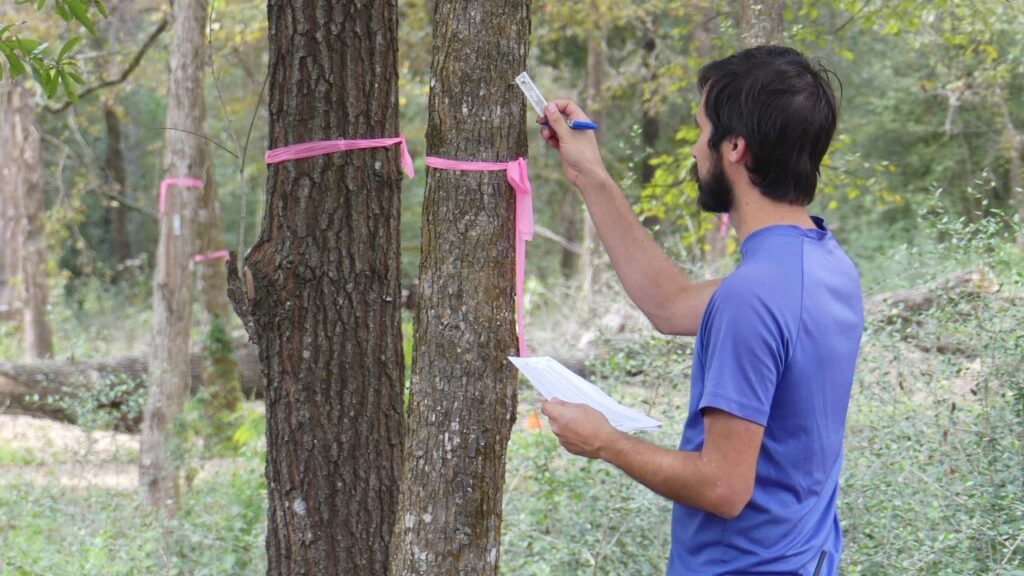 Chris-tree-inventory-Research - Houston Arboretum & Nature Center