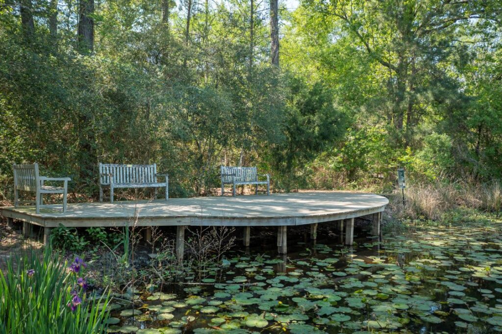 Spaces - Houston Arboretum & Nature Center