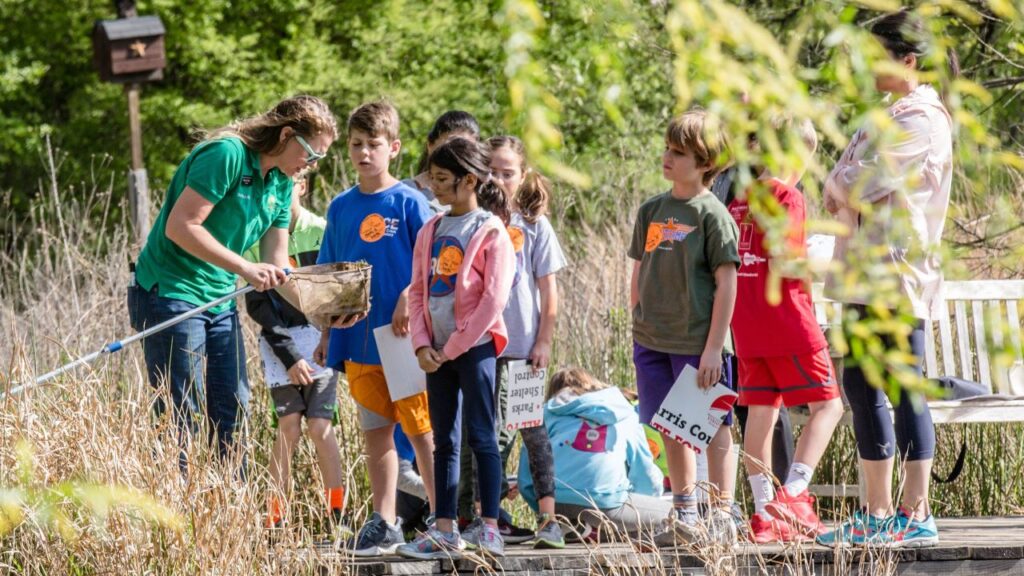 Half-Day Guided Field Experience - Houston Arboretum & Nature Center