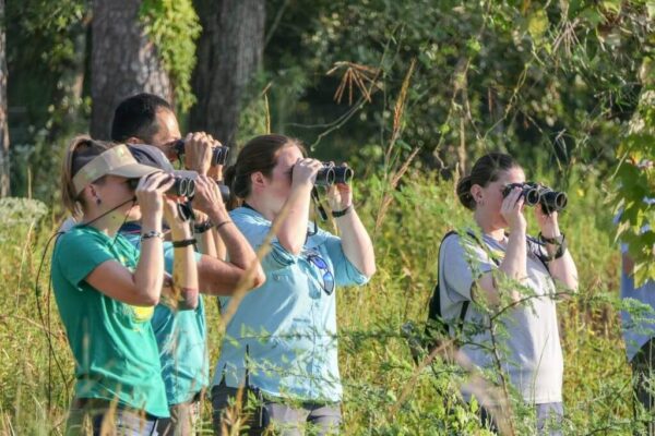 Birding as Citizen Science - Houston Arboretum & Nature Center