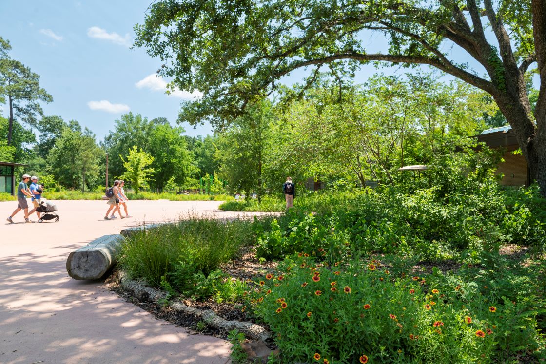 Landscaping with Native Plants - Houston Arboretum & Nature Center