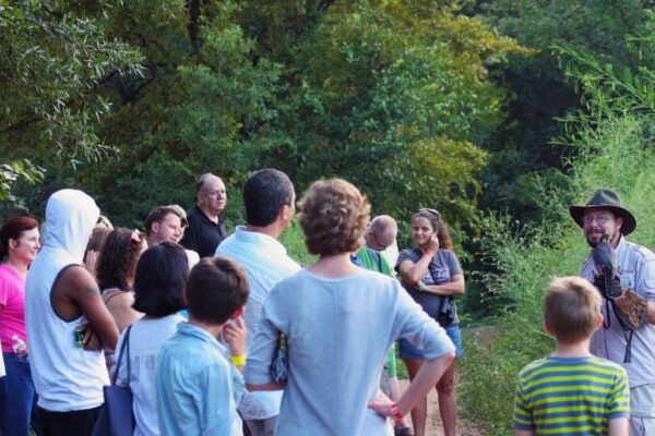 HAWK WALK With Live Birds of Prey - Houston Arboretum