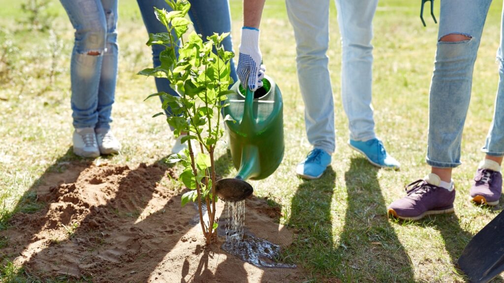 Tree Planting - Houston Arboretum & Nature Center