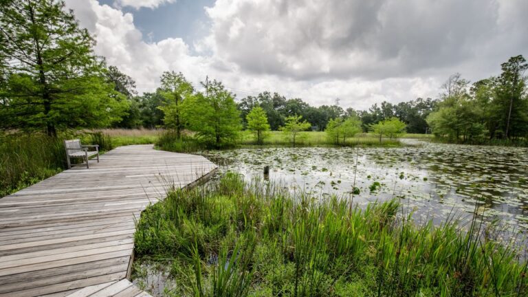 Adult Owl Prowl - Houston Arboretum & Nature Center